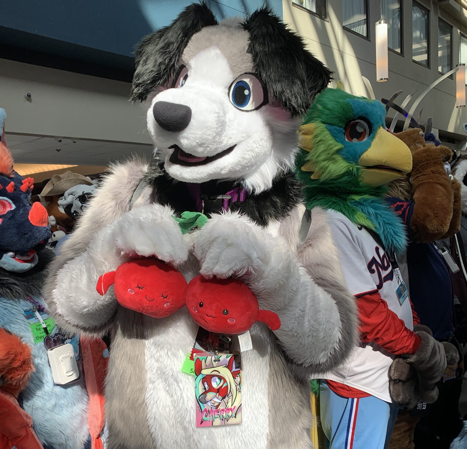 It’s a Bird! It’s a Goat! It’s a Furry! – Connecticut Voice