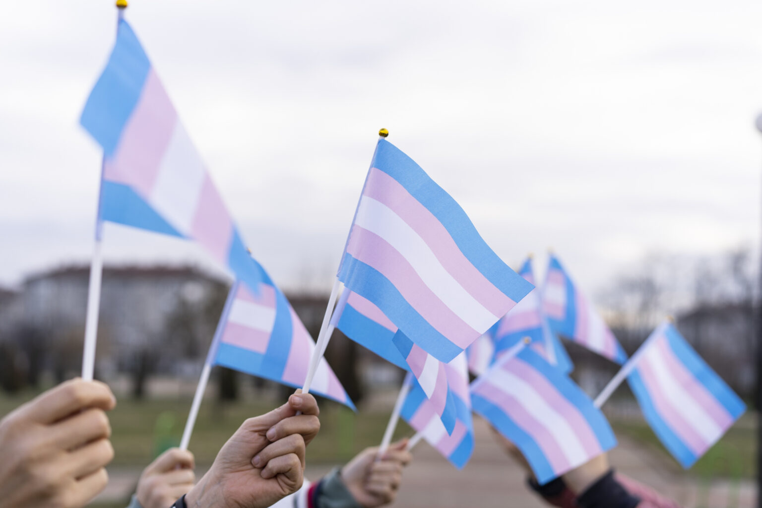 Middlesex Announces Virtual Trans Support Group – Connecticut Voice